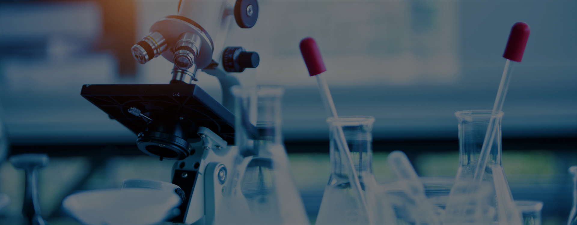 Lowenstein Sandler LLP | Home | Lowenstein Sandler LLP