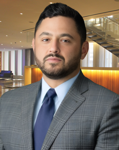 Matthew R. Friedenberg, Partner - Business Litigation, New York ...